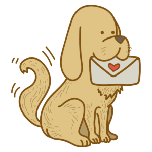 "perro dinky" - DogsPlanet.com